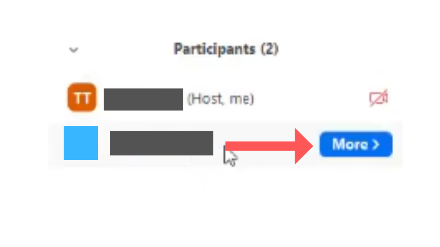 How to Disable Video on Zoom | Decortweaks