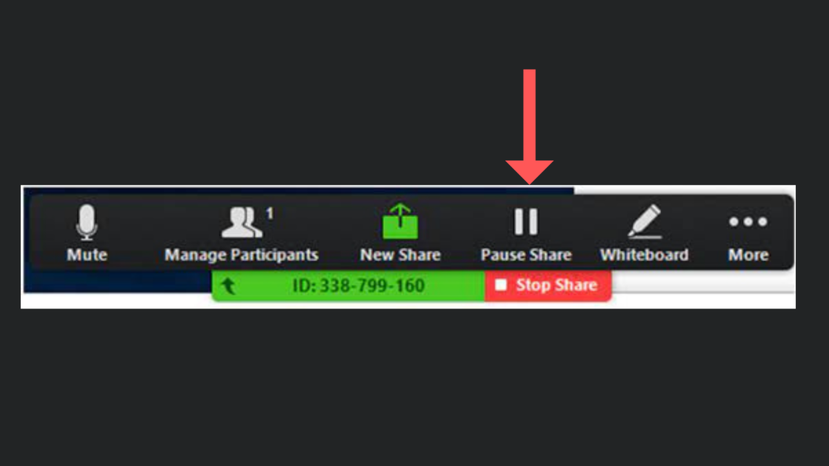 What Happens When You Pause Share on Zoom? | Decortweaks