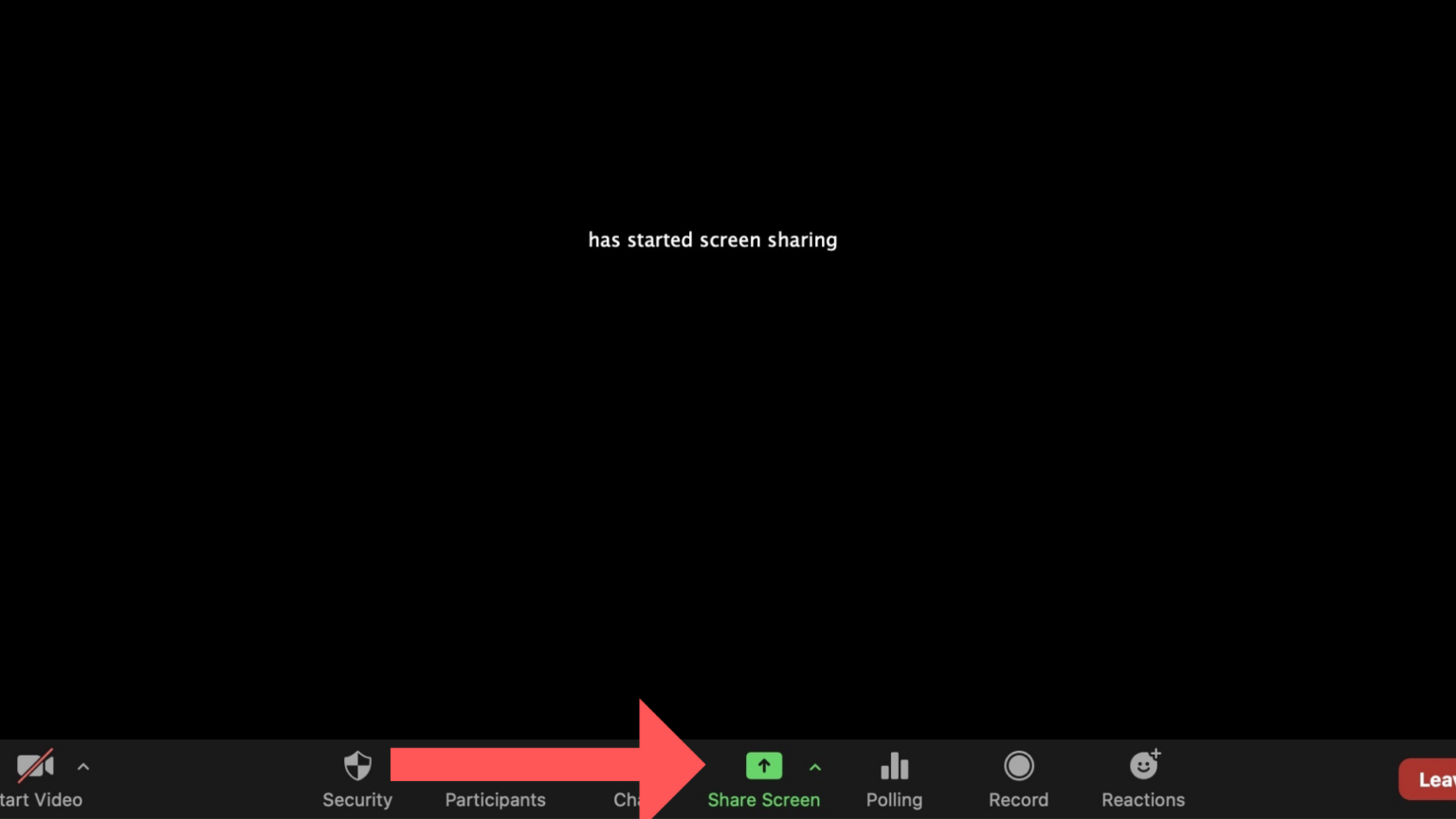 What Happens When You Pause Share on Zoom? | Decortweaks