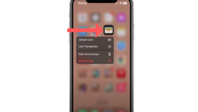 How to Locate My Apple Pay Transaction History ? Guide