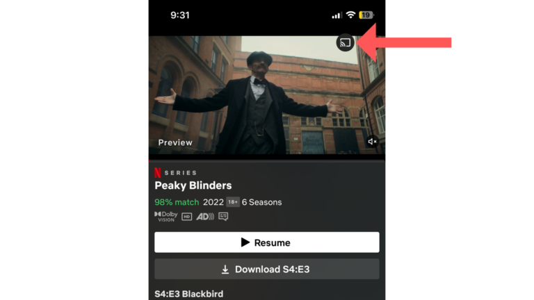 How to Cast Netflix to Vizio TV: A Simple Guide | Decortweaks