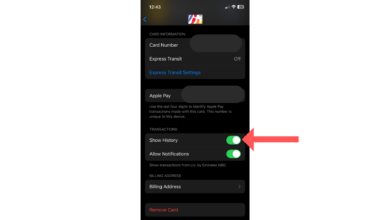 How to Delete Apple Pay Transaction History: Expert Guide